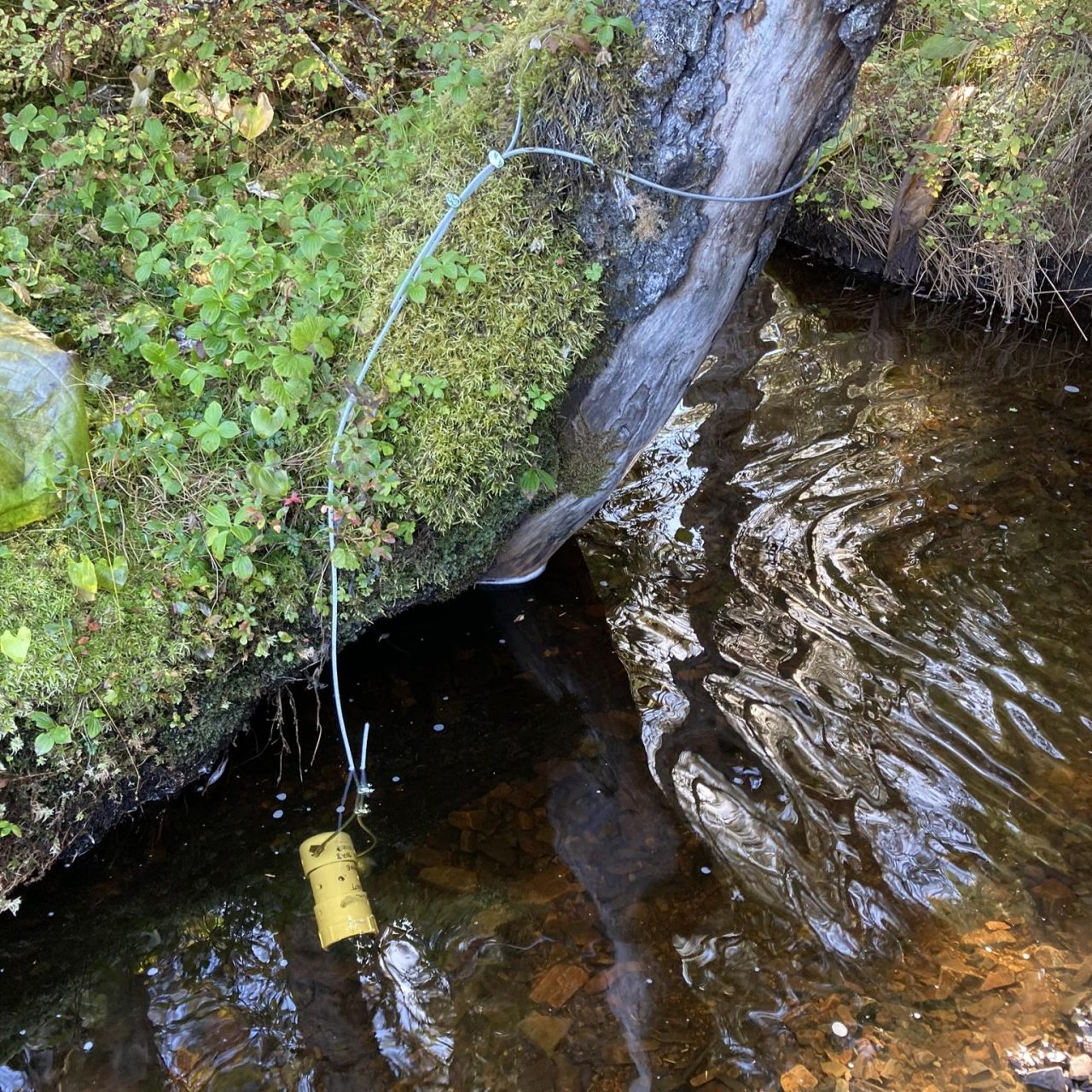 Stream Temperature Monitoring - Southeast Alaska Watershed Coalition